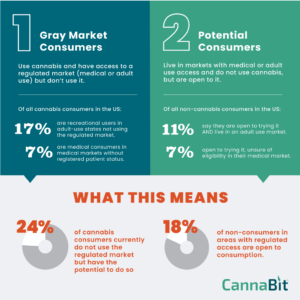New Frontier Data - Washington, DC - Growing Your Consumer Base Infographic